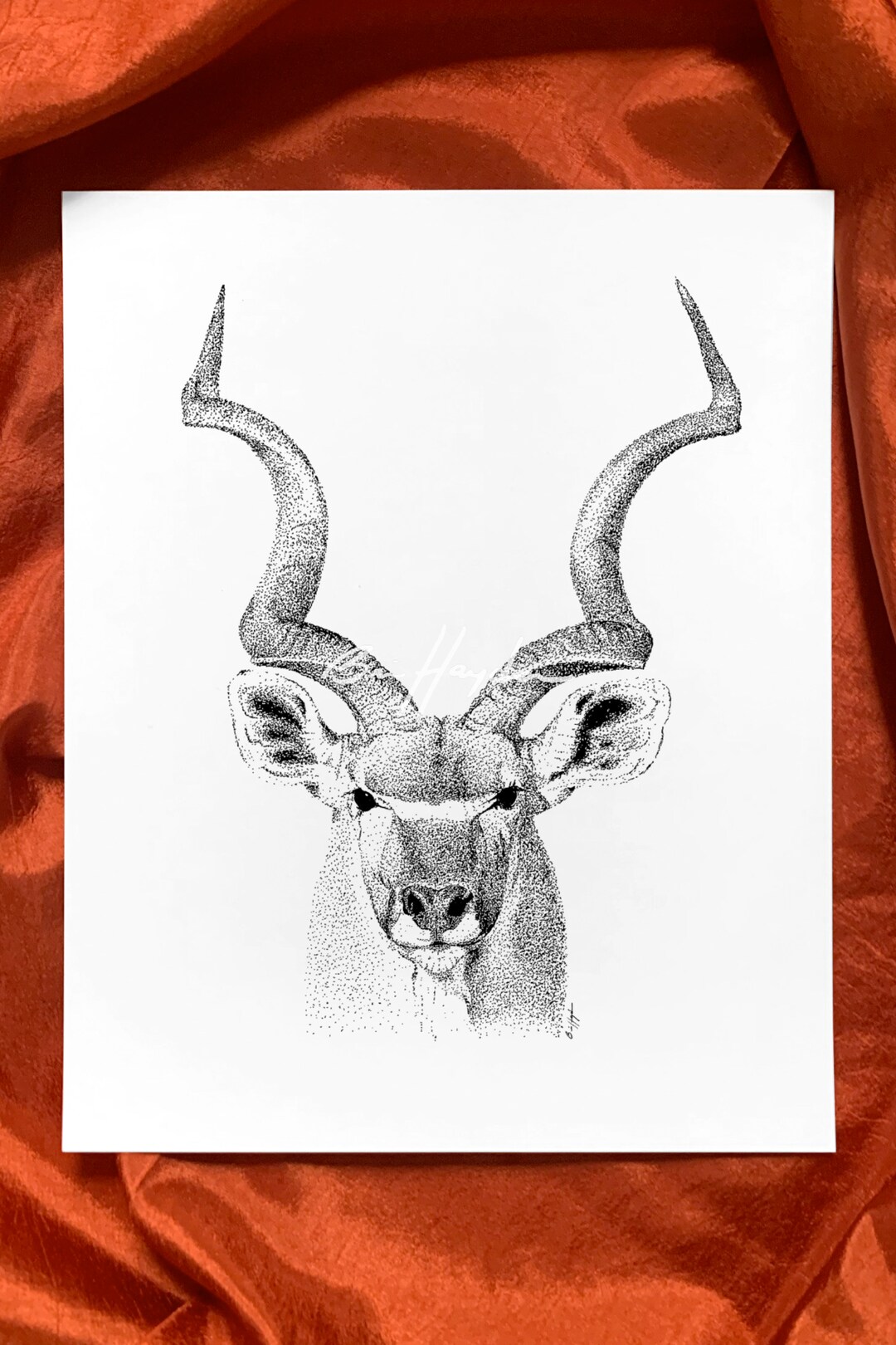 Kudu Drawing Art Print | 8 X 10 Inch Wall Art | Black and White ...