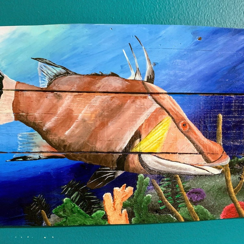 Hogfish - Etsy