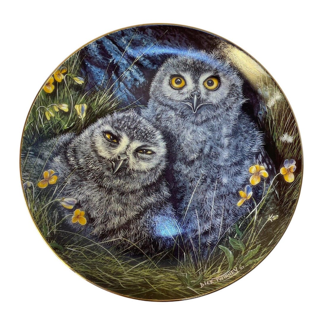 Vintage Snowy Owls Plate B1171 Baby Owls Collection Danbury Mint 1988 ...