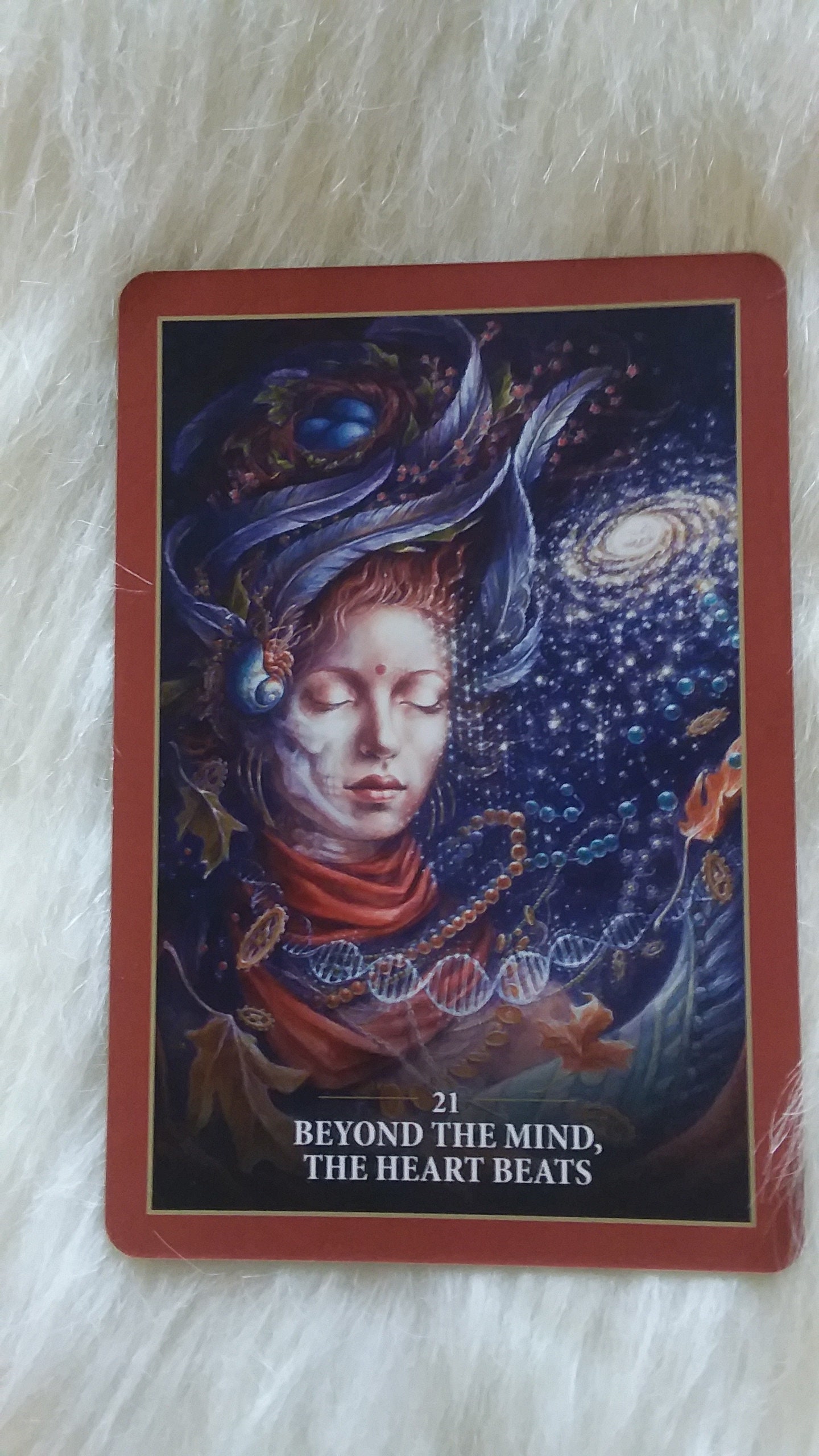 Sacred Rebels Oracle Deck Sacred Rebels Oracle Cards | Etsy