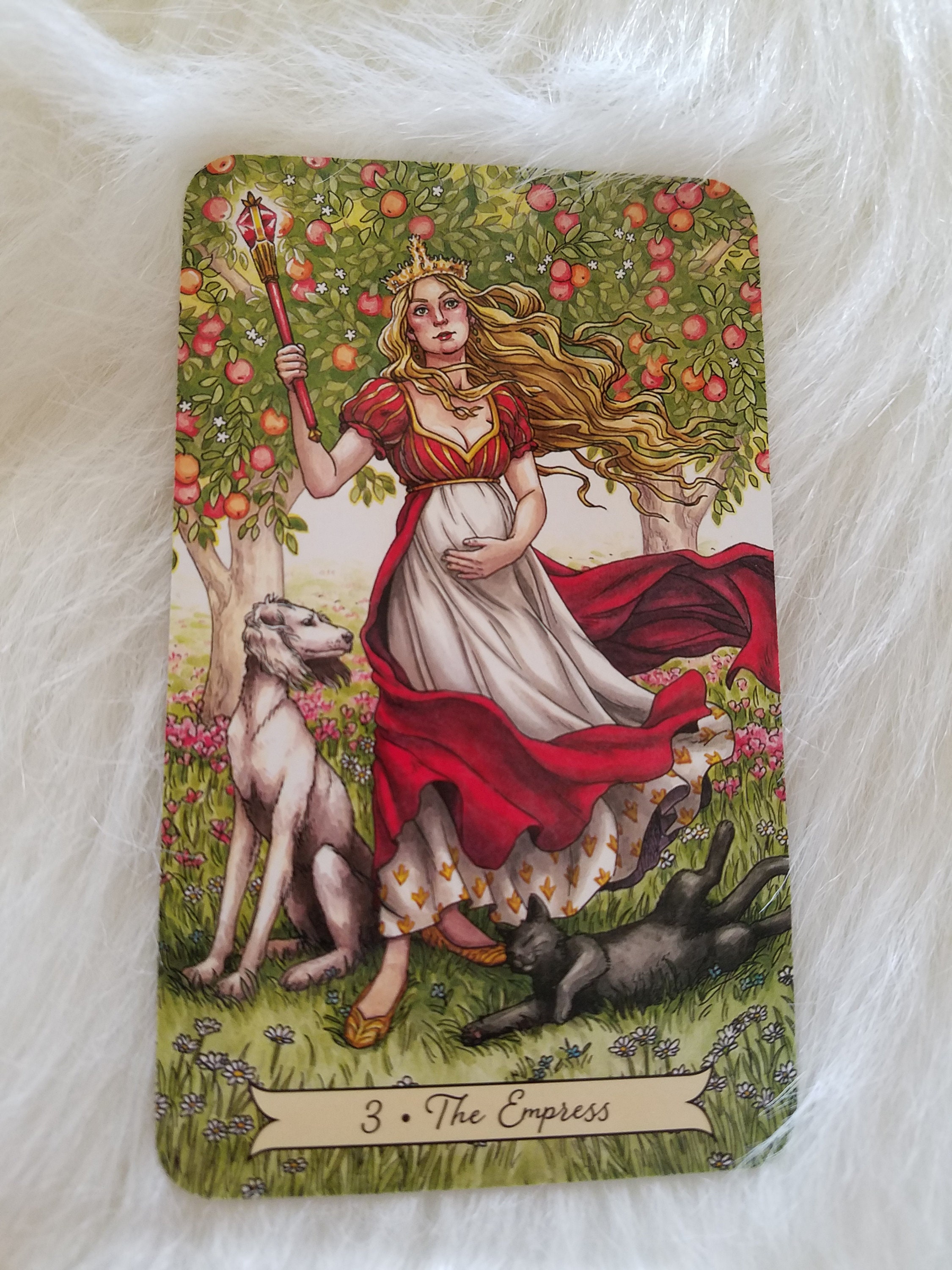 Everyday Witch Tarot Kit Everyday Witch Tarot Tarot Deck | Etsy