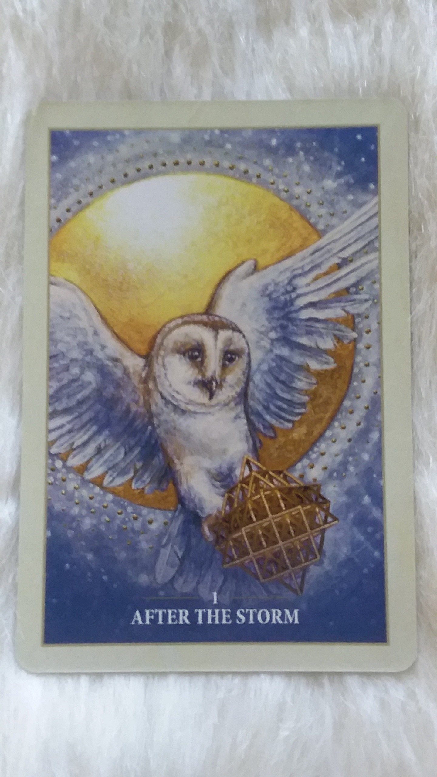 Sacred Rebels Oracle Deck Sacred Rebels Oracle Cards | Etsy