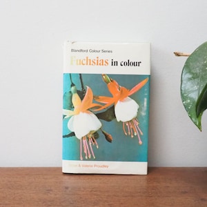 Fuchsias in Colour - Brian & Valerie Proudley - Pocket Reference - 1984 - Vintage House Plant ...