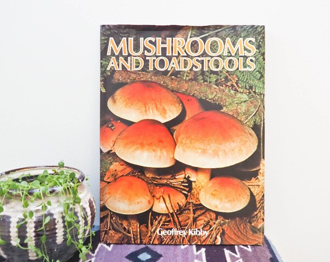 Vintage 1977 Mushroom Identification Book: Geoffrey Kibby, Color ...
