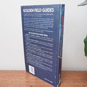 Vtg Sky Guide - Golden Field Guide for Amateur Astronomers - Vintage ...