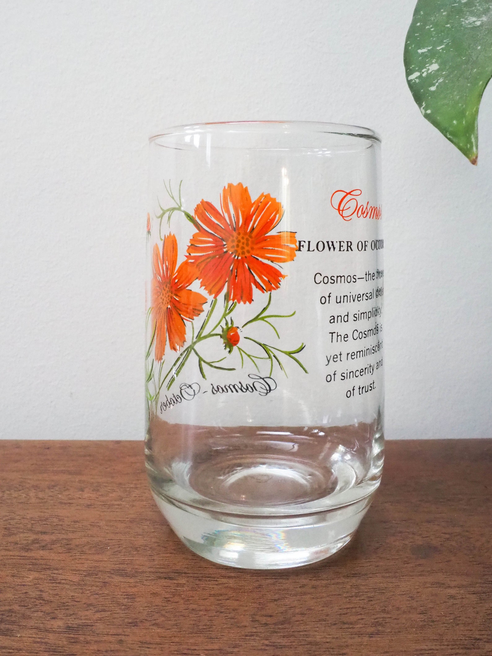 Birth Month Flower Glassware - YOUR CHOICE - October Cosmos - November ...