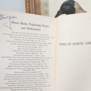 Manual of the Trees of North America - Charles Sprage Sargent - Volume ...