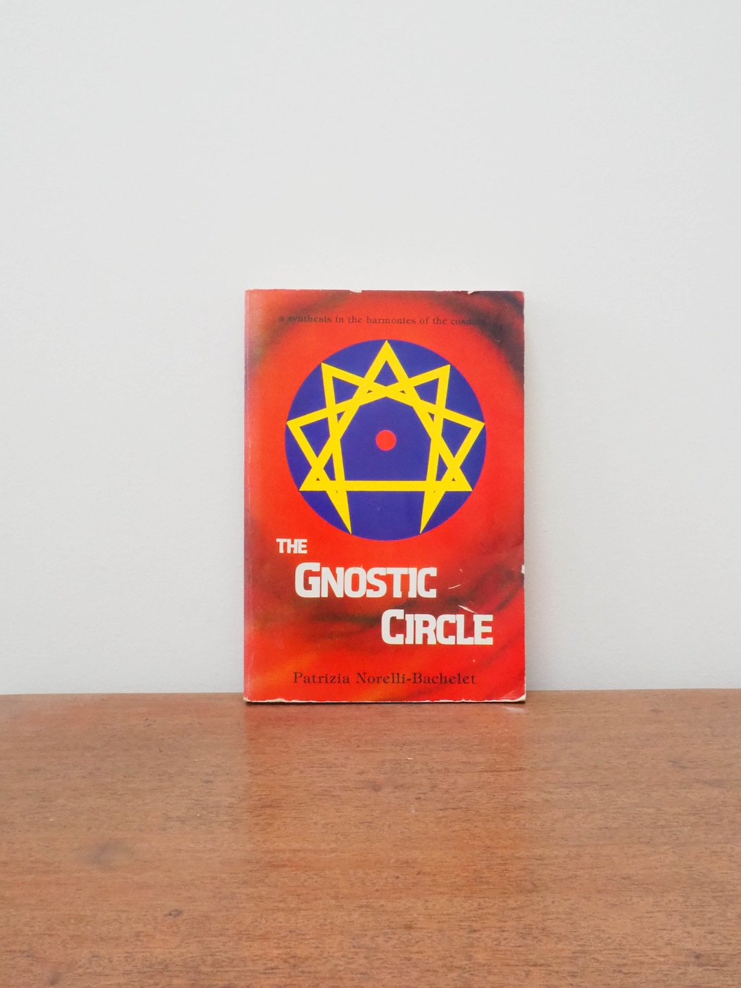 The Gnostic Circle - Patrizia Norelli-bachelet - 1975 - A Synthesis in ...