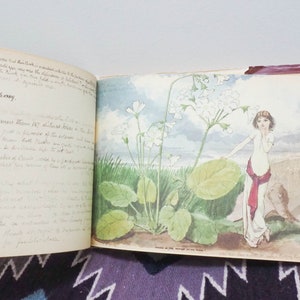 The Doyle Diary - Michael Baker - Vintage Hardcover Book - the Strange ...