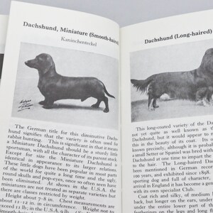 The Observer's Book of Dogs SM Lampson 1974 Vintage Pet Guidebook Breed ...