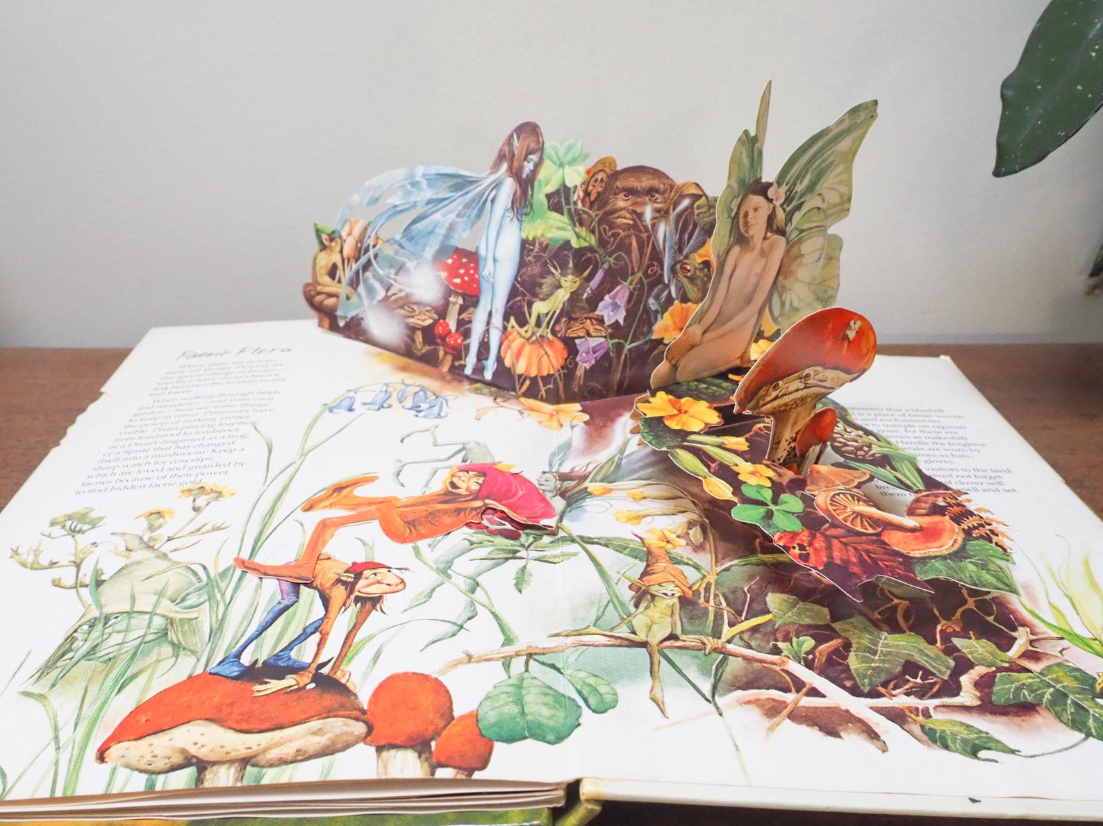 The Faeries Pop-up Book - Harry N Abrams - 1980 Hardcover - Rare ...