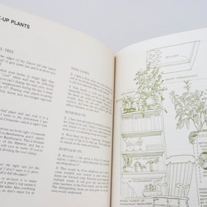 Plant Parenthood Book - 1970s Houseplant Reference by Maggie Baylis - Etsy