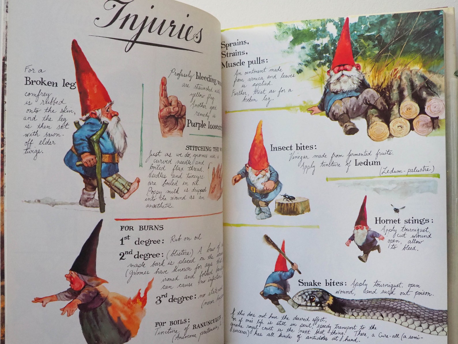 Gnomes Rien Poortvliet Wil Huygen 1977 70s Hardcover Mythical Sketches ...