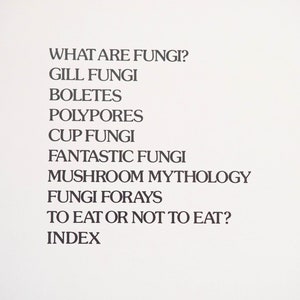 Mushrooms & Toadstools - Geoffrey Kibby - 1977 Vtg Mushroom Species ...