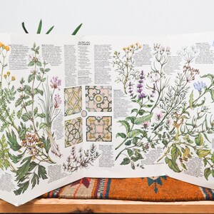 70s Knot Garden Pamphlet - Medicinal Herbs Garden Booklet - Vintage ...