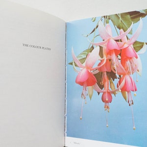 Fuchsias in Colour - Brian & Valerie Proudley - Pocket Reference - 1984 - Vintage House Plant ...