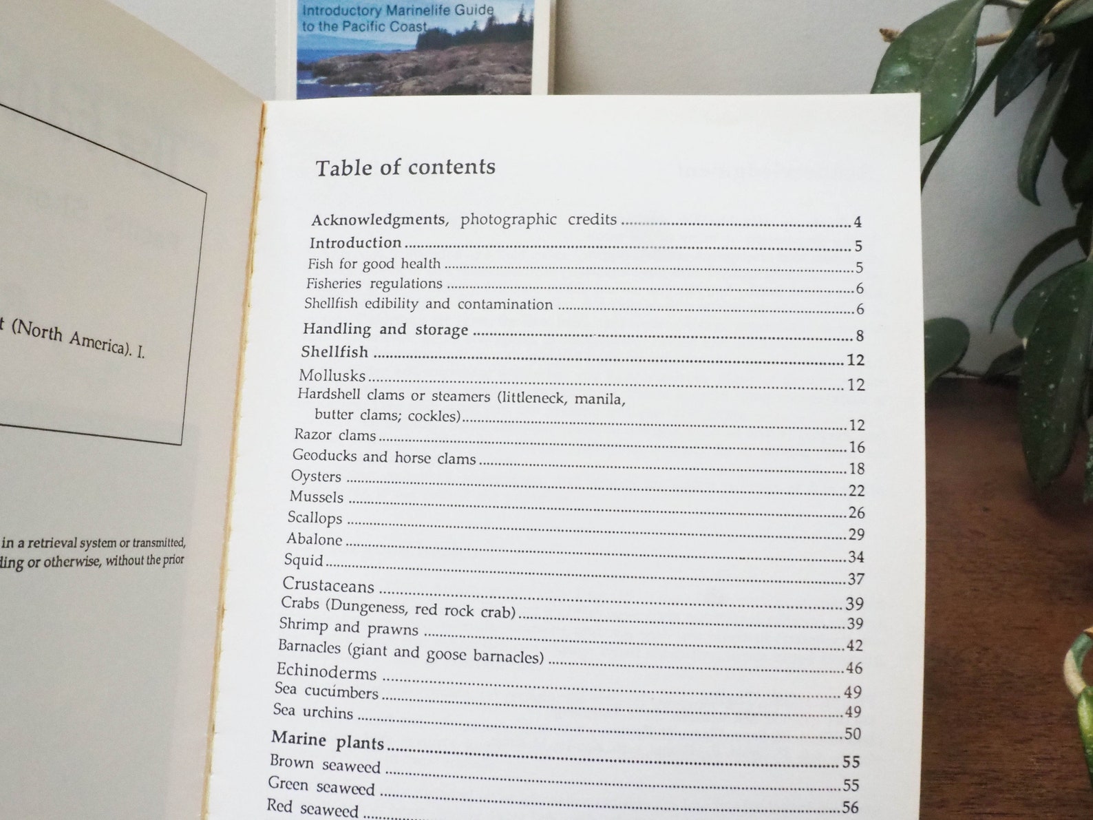 Seashore Guidebook Pair - the Western Seashore - the Edible Seashore - Rick M. Harbo - 1988 ...