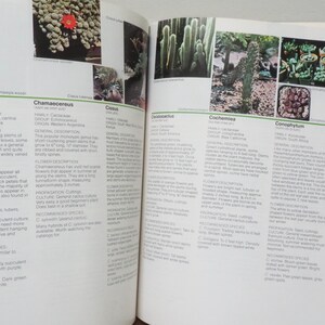 The World of Cactus & Succulents - 70s Ortho Books - Indoor Gardening ...