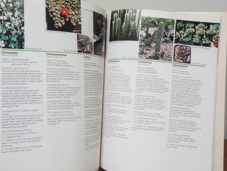The World of Cactus & Succulents - 70s Ortho Books - Indoor Gardening ...