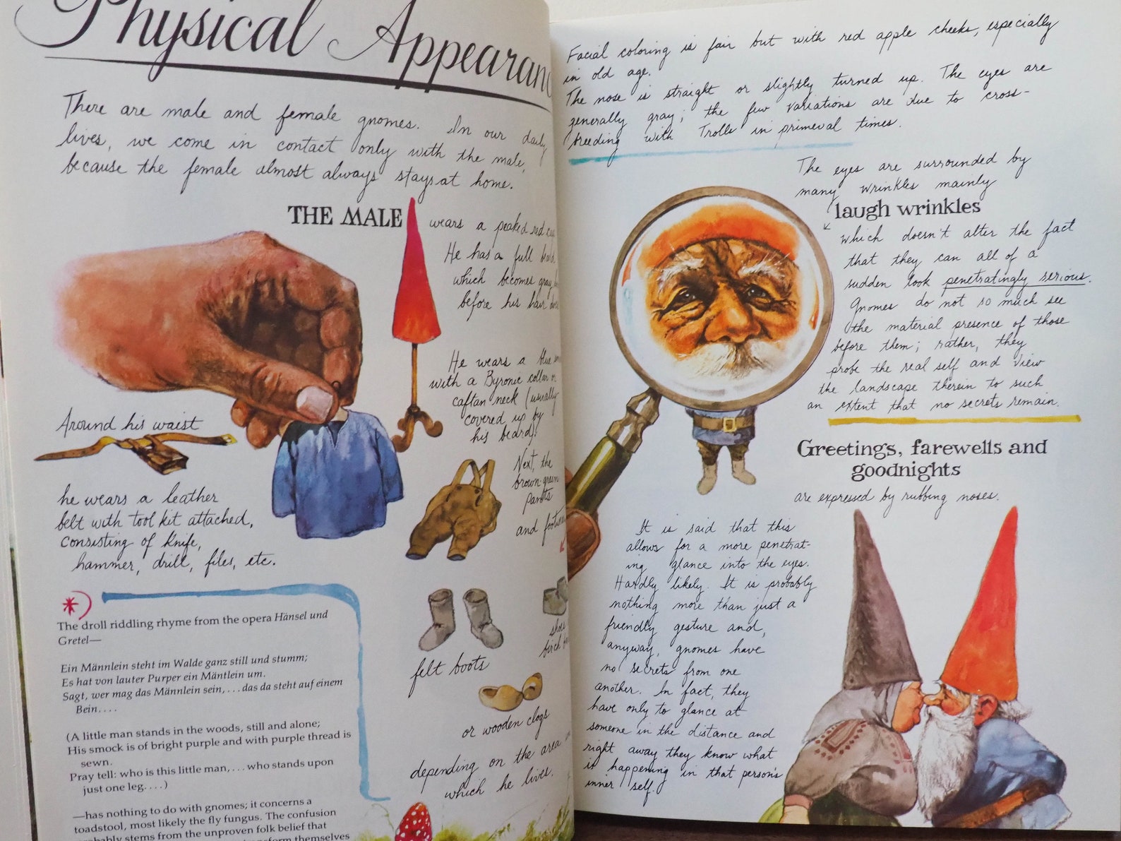 Gnomes Rien Poortvliet Wil Huygen 1977 70s Hardcover Mythical Sketches ...