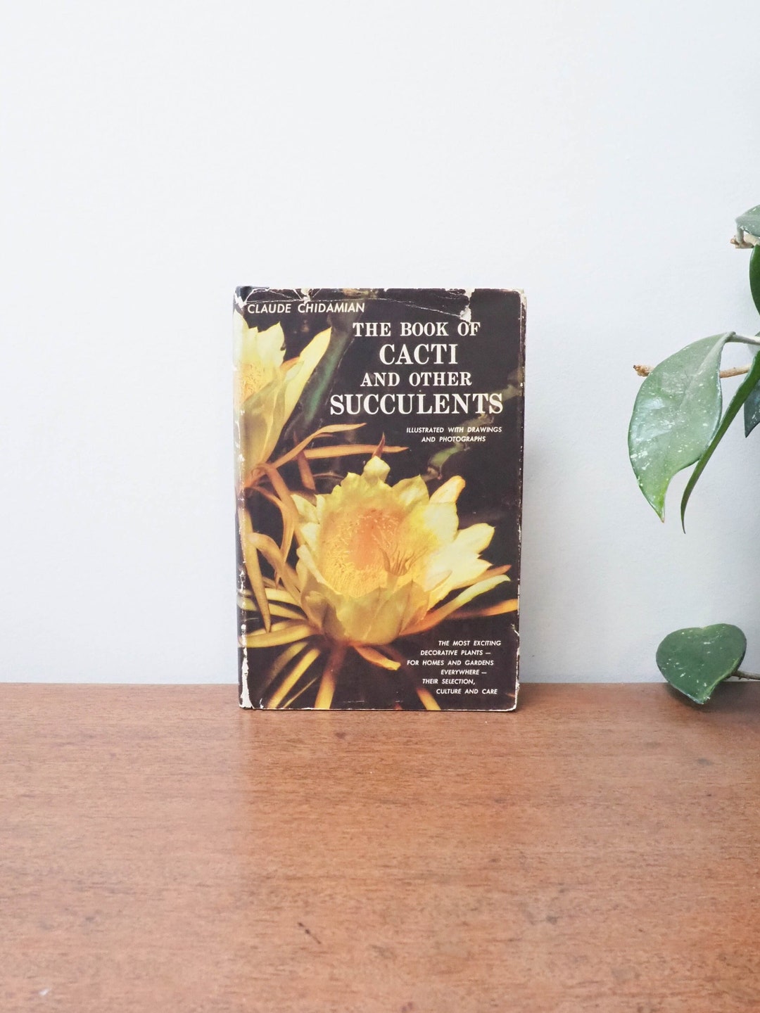 The Book of Cacti and Other Succulents - Claude Chidamian - 1958 Cactus ...