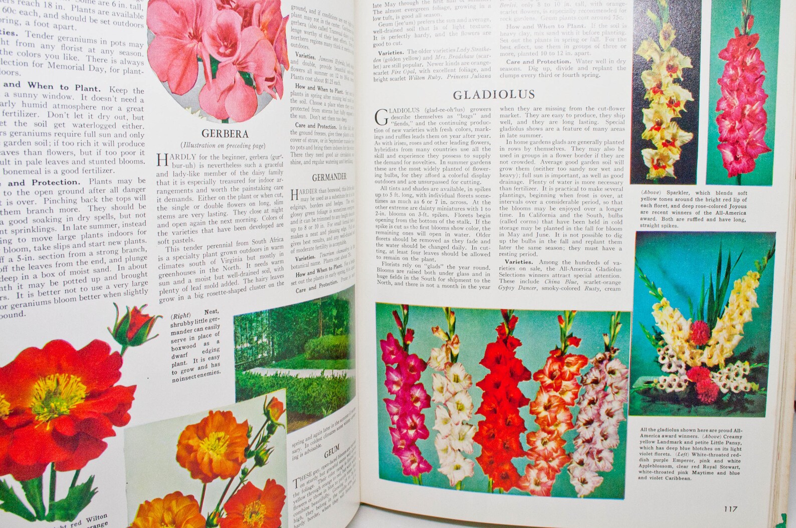 The Complete Guide to Garden Flowers Herbert Askwith - Etsy
