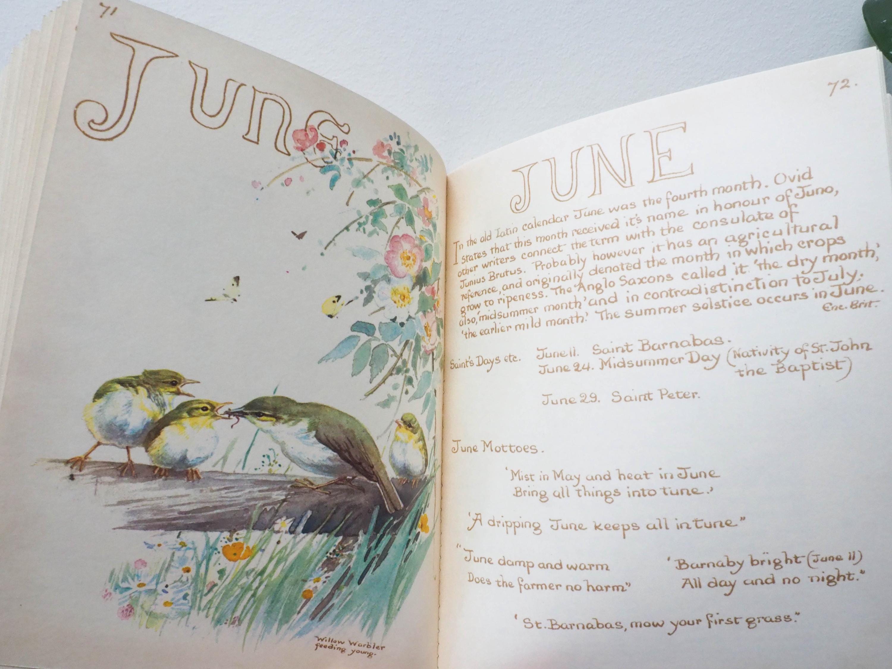 1987 the Country Diary of an Edwardian Lady - Edith Holden - Smaller ...