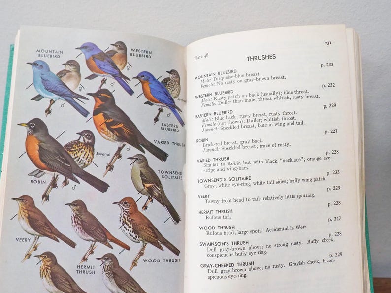 A Field Guide to Western Birds - Roger Tory Peterson - 1969 - Hardcover ...