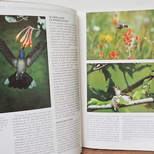 How to Attract Hummingbirds & Butterflies - 1991 - Ortho Books ...