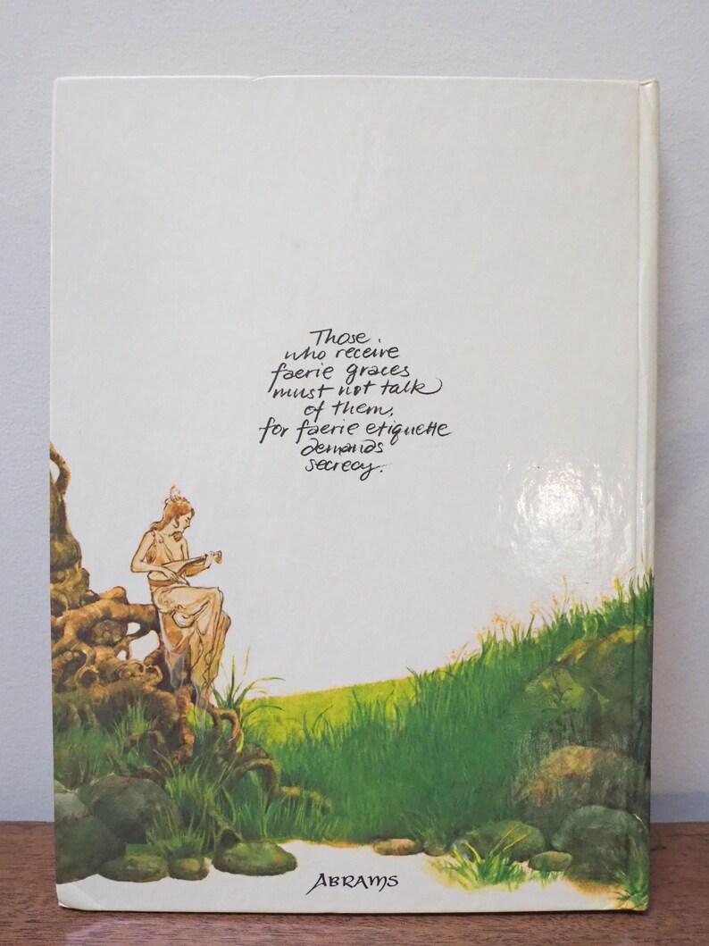 The Faeries Pop-up Book - Harry N Abrams - 1980 Hardcover - Rare ...