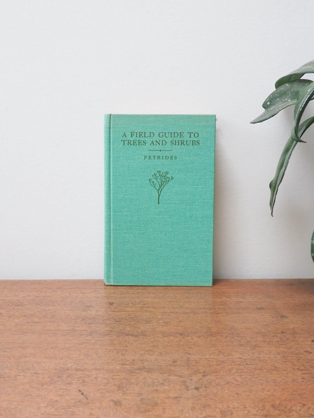 A Field Guide to Trees and Shrubs - Peterson Field Guide - George A ...