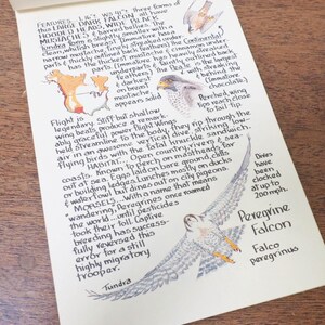 Talons North American Birds of Prey - Millie Miller Cyndi Nelson ...