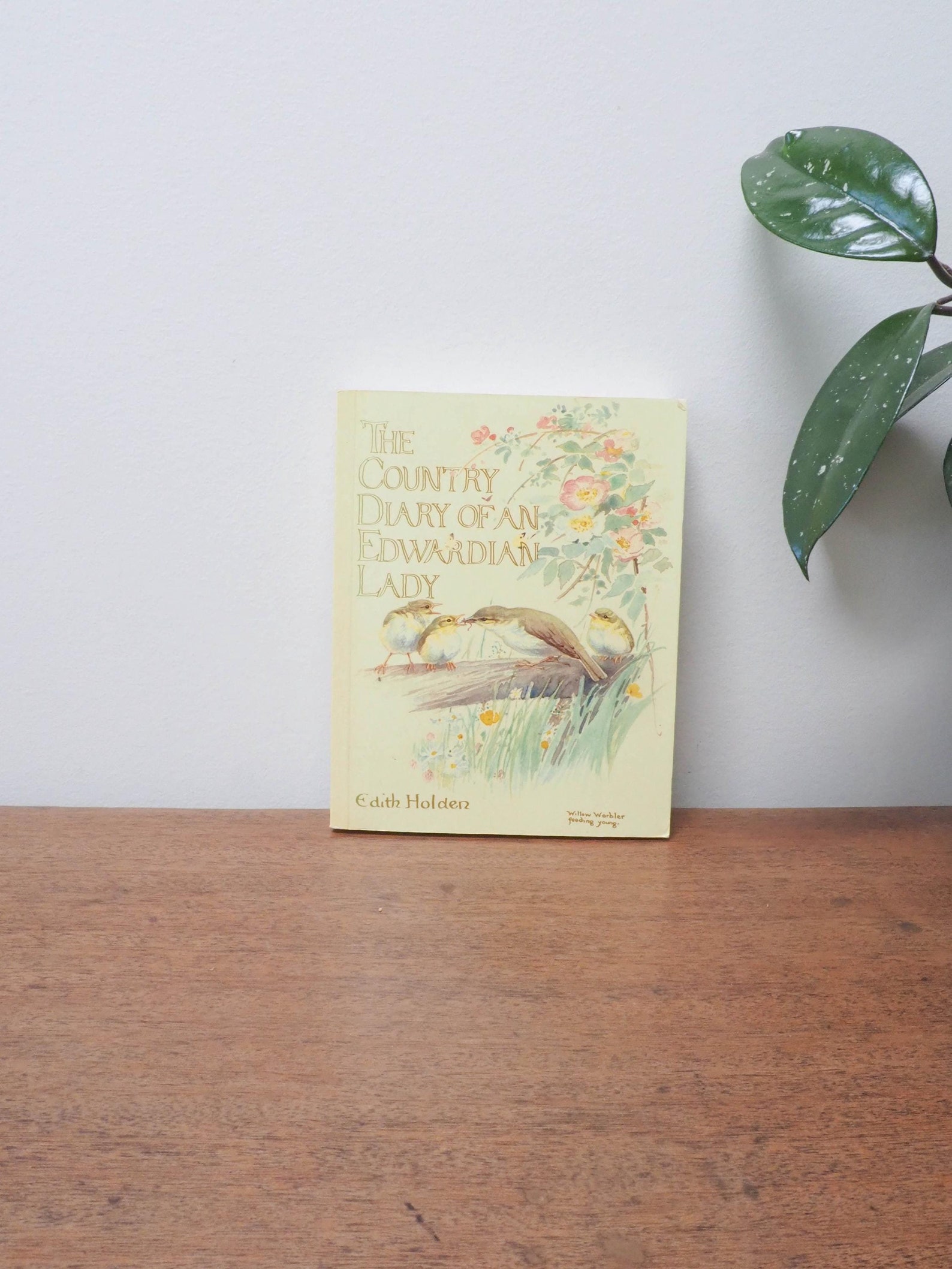 1987 the Country Diary of an Edwardian Lady - Edith Holden - Smaller ...