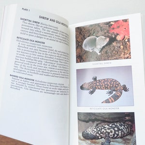 Venomous Animals & Poisonous Plants Peterson Field Guide Steven Foster ...