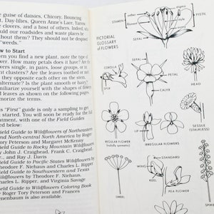 80s Wild-flowers Book - Vtg Peterson First Guides - Vintage Wildflowers ...