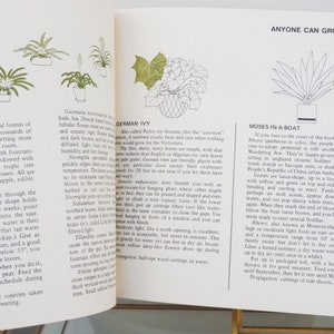 Plant Parenthood Book - 1970s Houseplant Reference by Maggie Baylis - Etsy