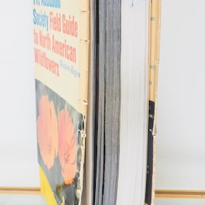 Audubon Society Field Guide to North American Wildflowers - Western ...