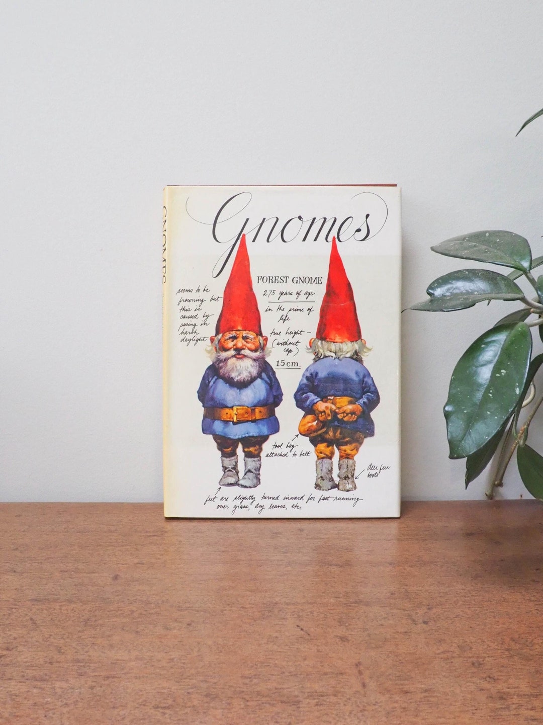 Gnomes - Rien Poortvliet Wil Huygen - 1977 - 70s Hardcover - Mythical ...