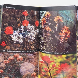Audubon Society Field Guide to North American Wildflowers - Western ...