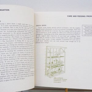 Plant Parenthood Book - 1970s Houseplant Reference by Maggie Baylis - Etsy