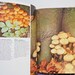 Mushrooms & Toadstools Geoffrey Kibby 1977 Vtg Mushroom Species Book ...