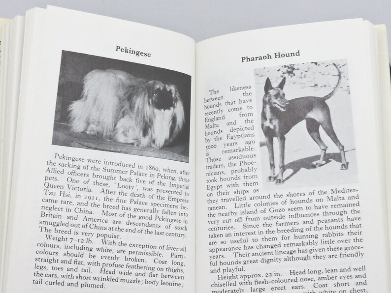 The Observer's Book of Dogs SM Lampson 1974 Vintage - Etsy Canada