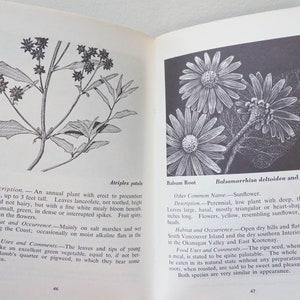 Guide to Common Edible Plants of BC - AF Szczawinski - GA Hardy ...