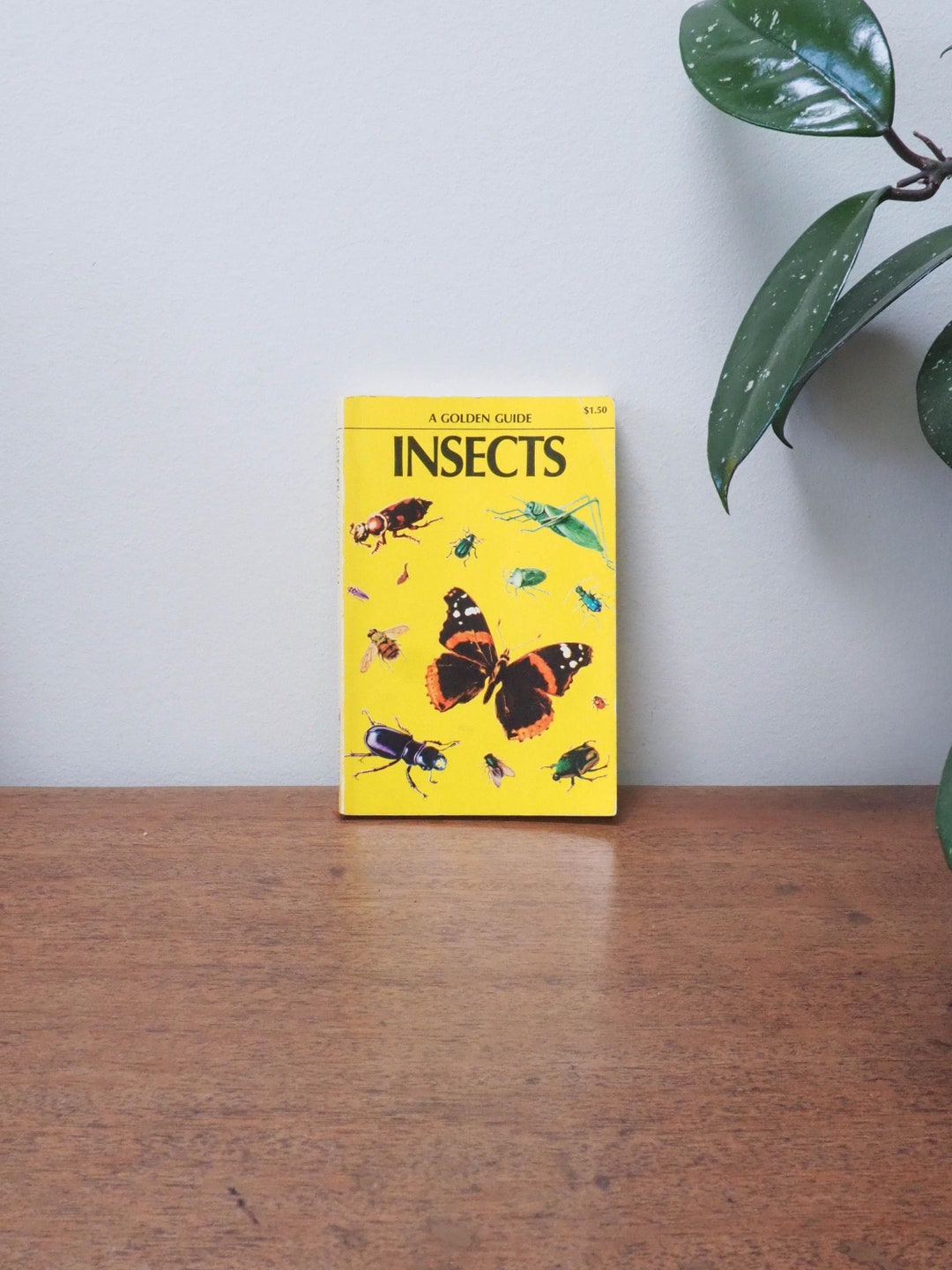 Golden Guide to Insects Zim and Cottam Vintage Bug Book Vtg Entomology ...