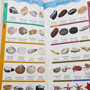 Seashores of British Columbia - 90s Lone Pine - Vtg Beach Field Guide ...