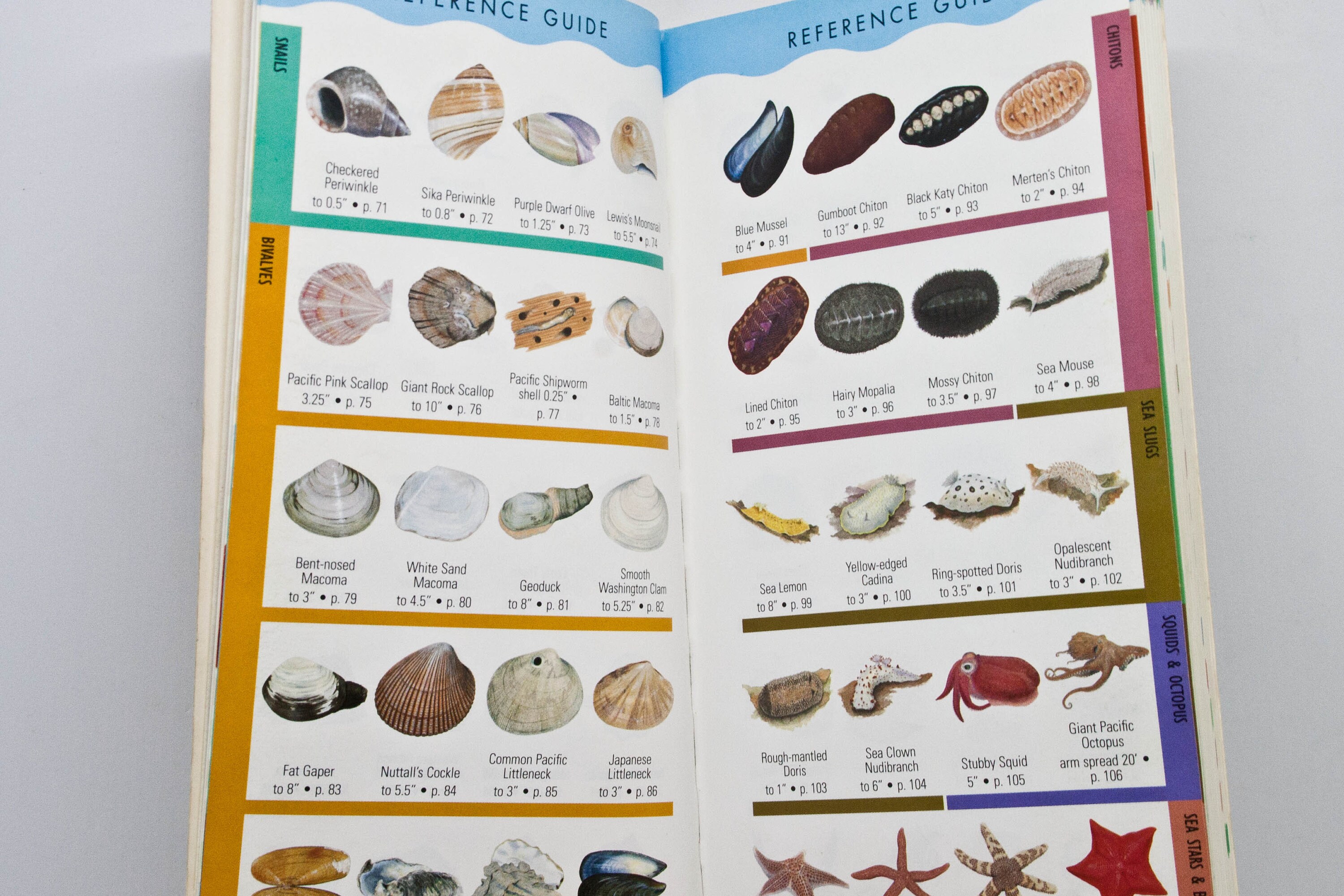 Seashores of British Columbia 90s Lone Pine Vtg Beach | Etsy