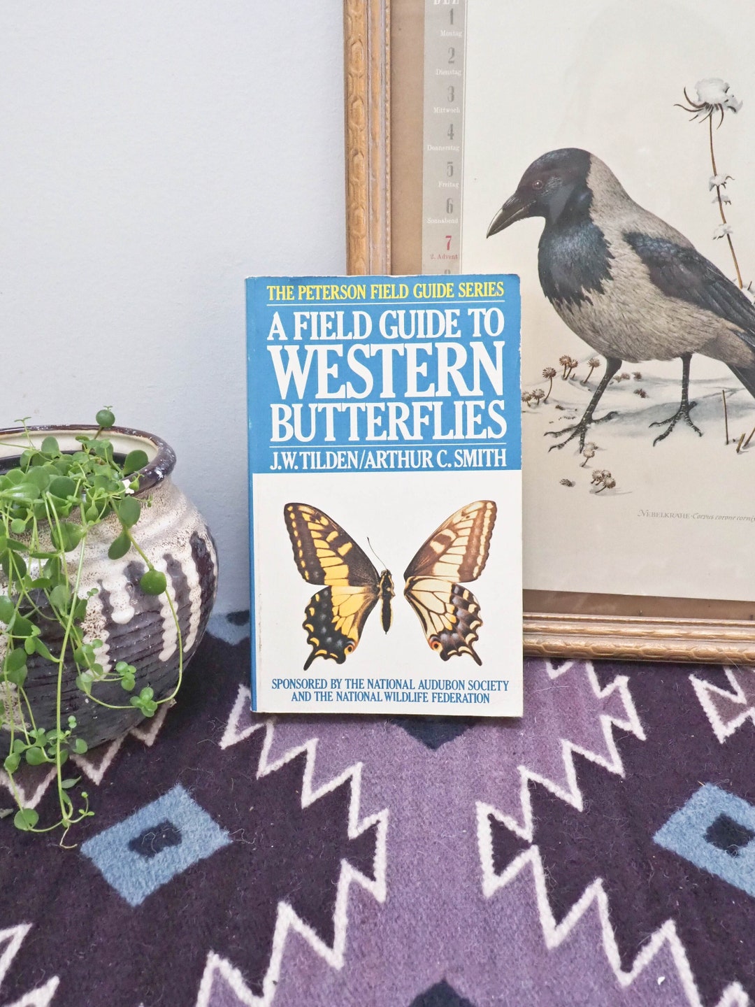 70s Field Guide to Western Butterflies - JW Tilden - 1980 Vtg Paperback ...