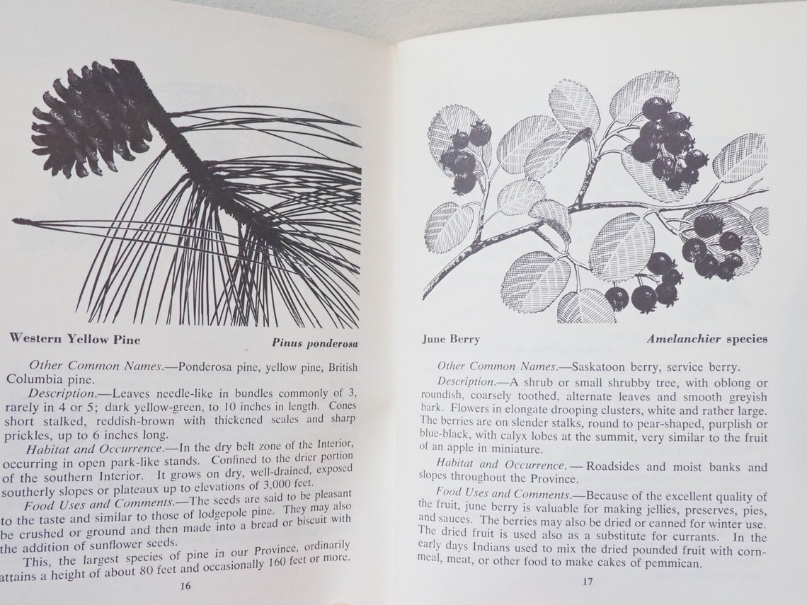 Guide to Common Edible Plants of BC - AF Szczawinski - GA Hardy ...