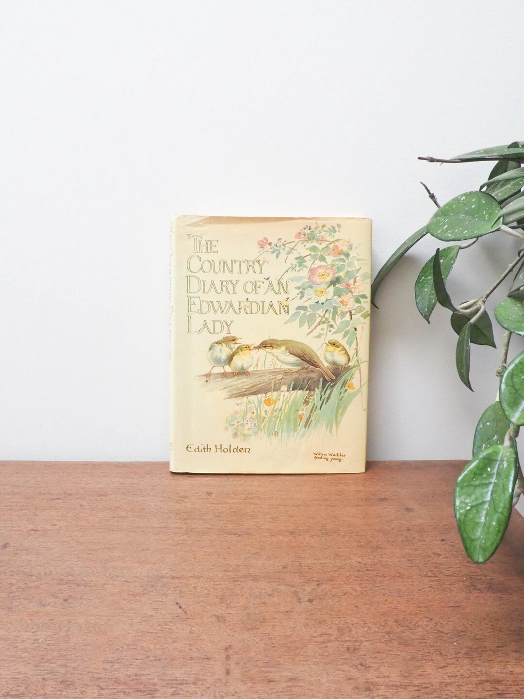 1980 the Country Diary of an Edwardian Lady - Edith Holden - Hardcover ...