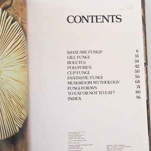 Mushrooms & Toadstools - Geoffrey Kibby - 1977 Vtg Mushroom Species ...